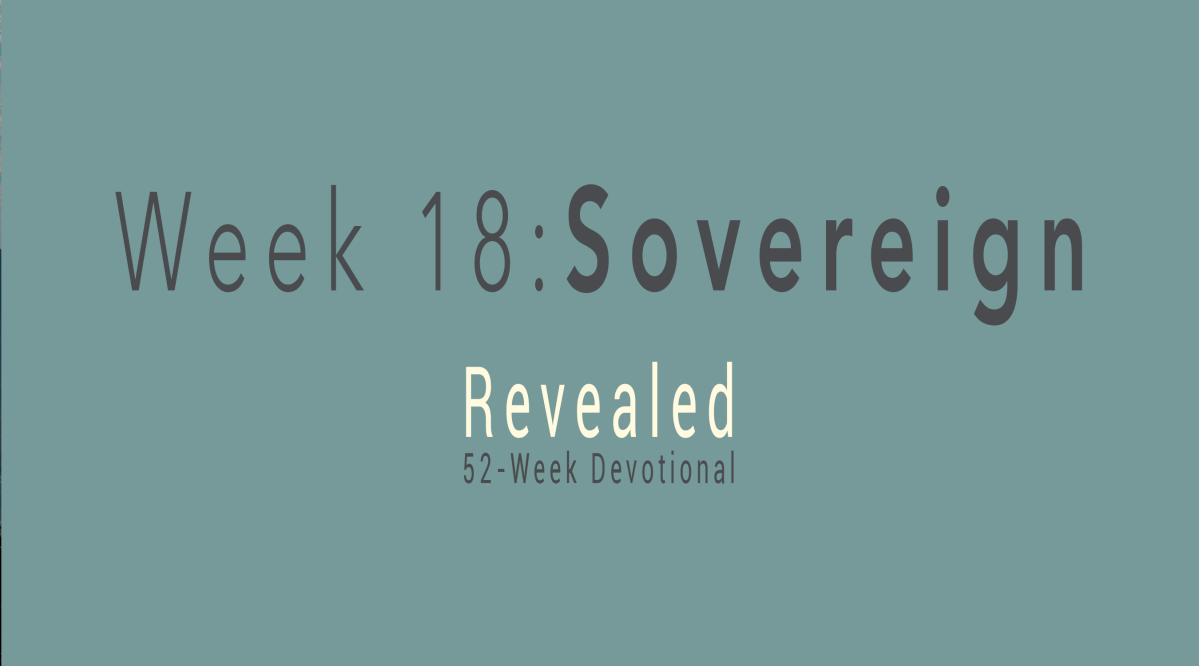 Revealed Week 18: Small Enough Sovereignty – Brave Sparrow